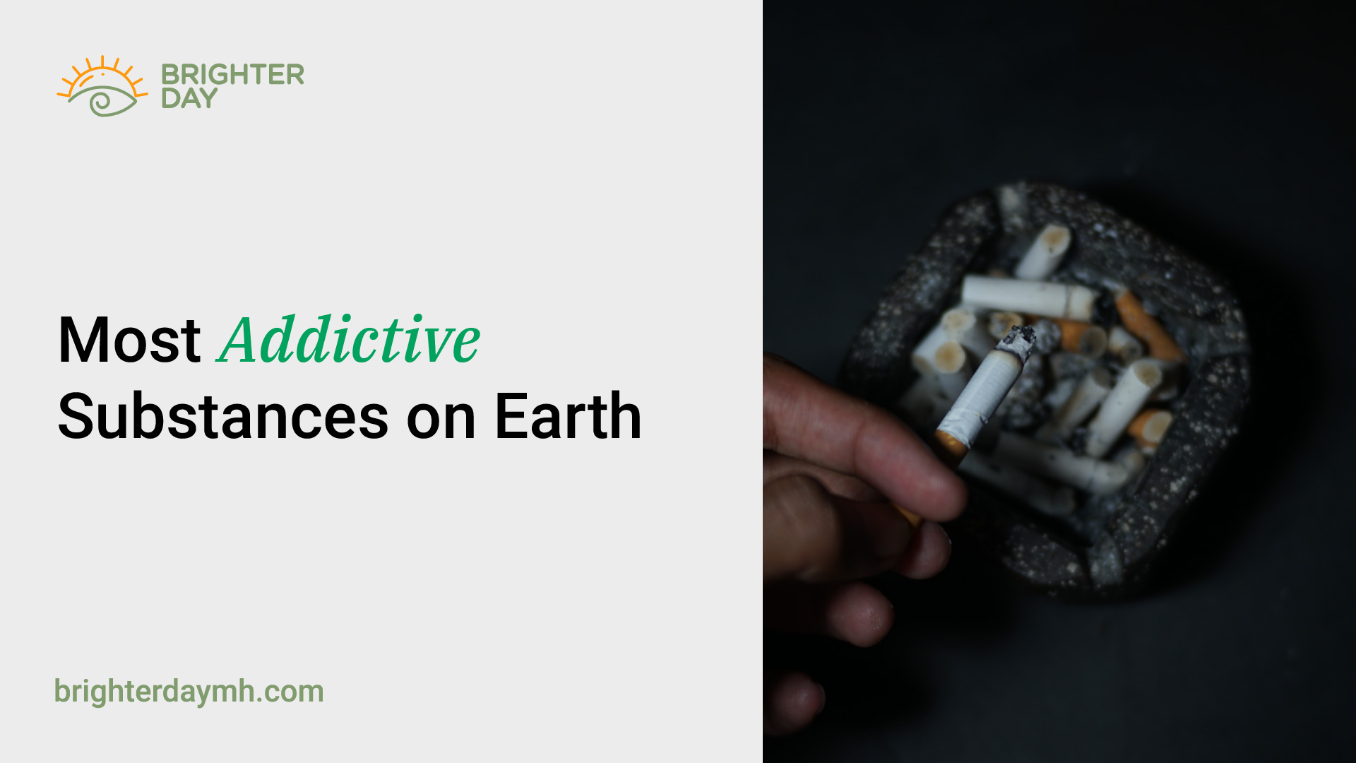 Most Addictive Substances On Earth